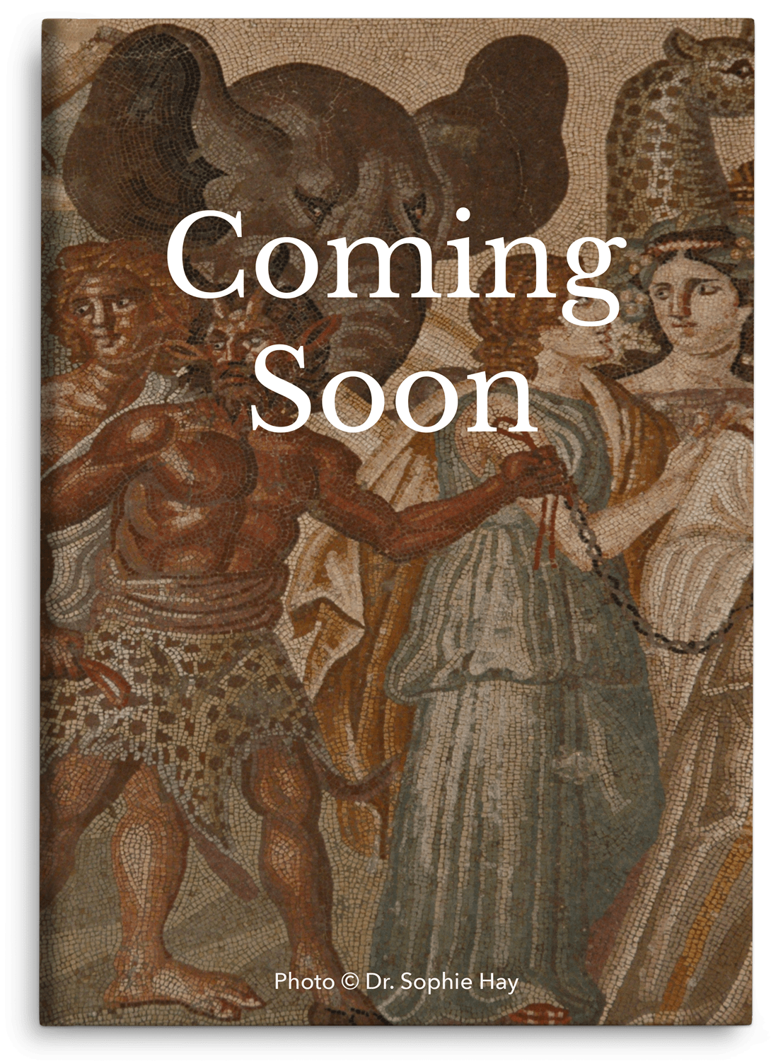 Books – Nandini Pandey